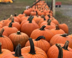 Outdoors - Sumner County Tourism