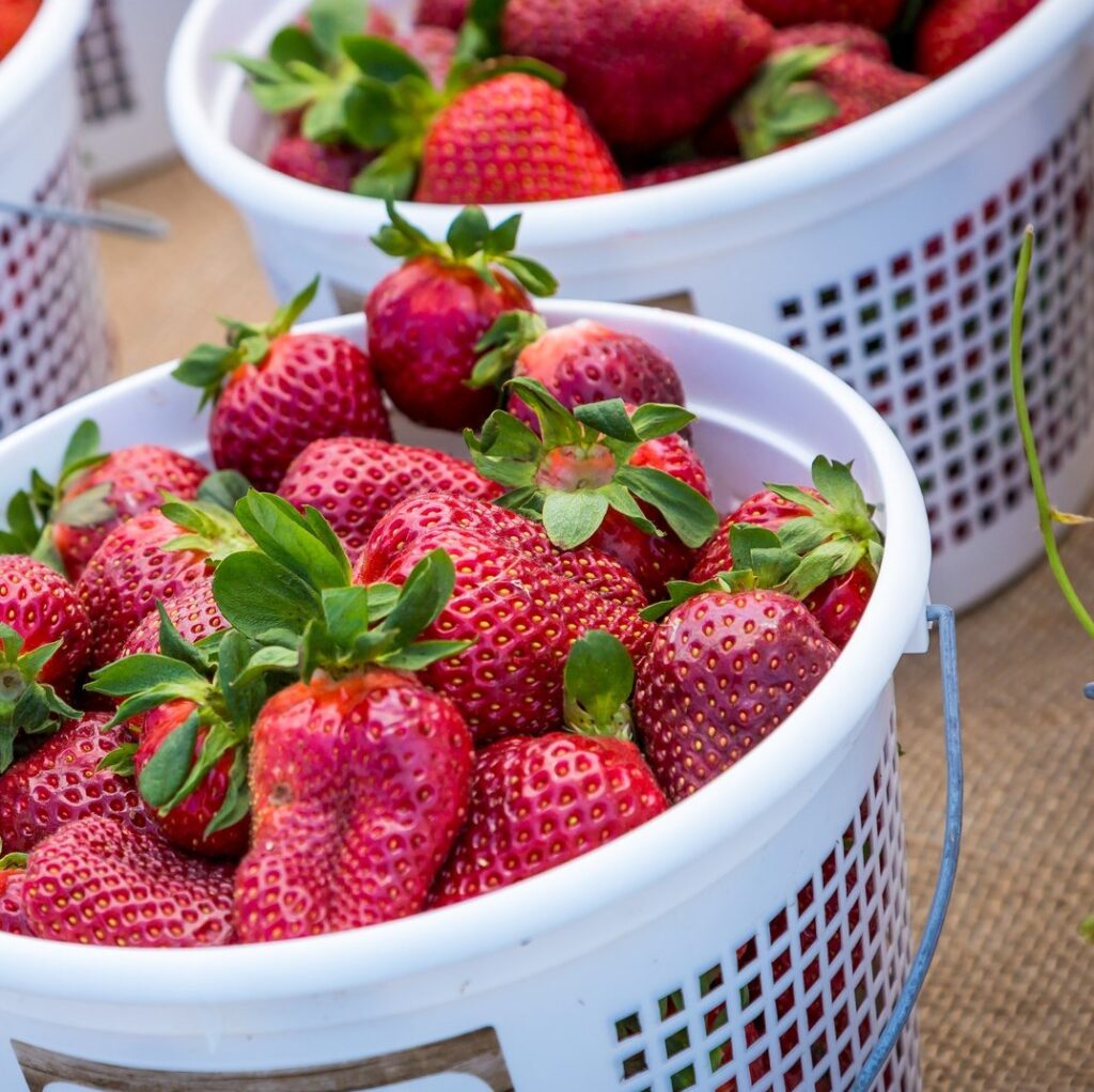 Visit Sumner County Tennessee - Memories are Made of This